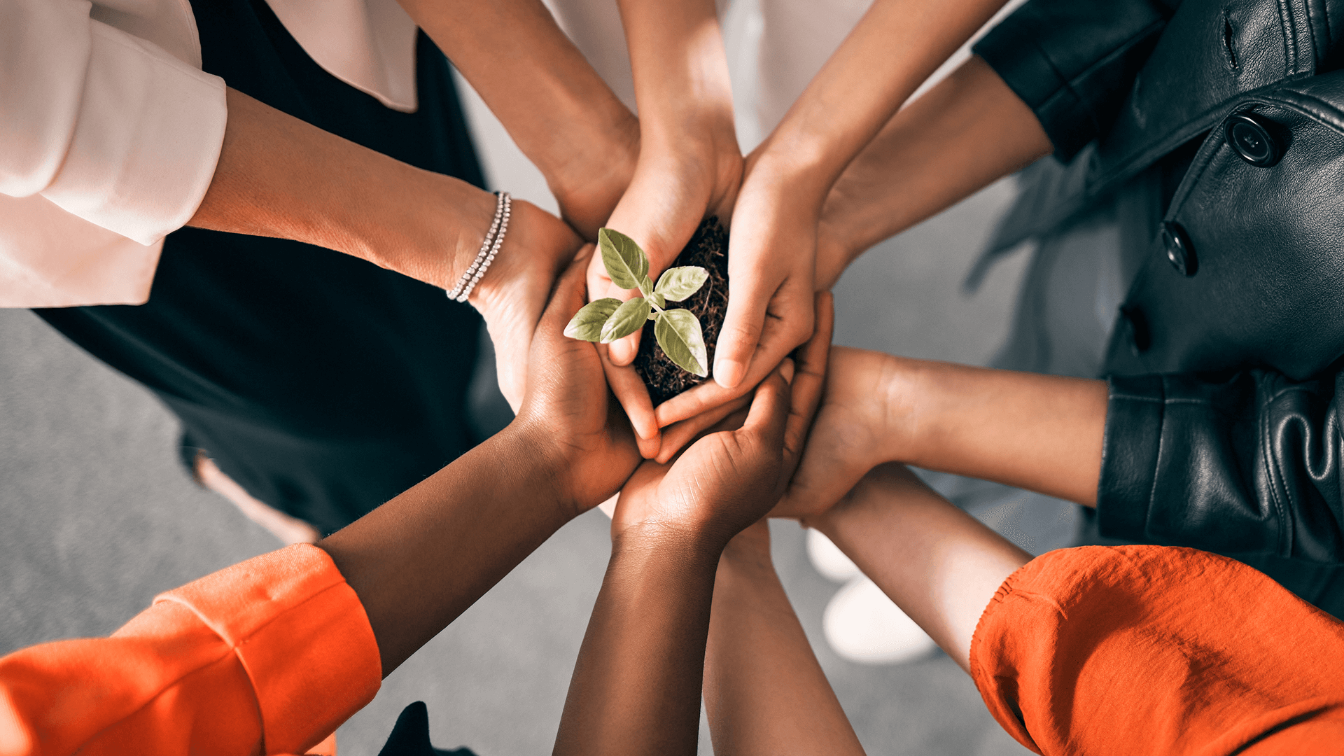 Comment impliquer ses collaborateurs dans sa stratégie RSE